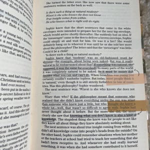 Custom Annotated Book, Annotations Books, Annotated Book of Your Choice, Annotated Book for Gift ...