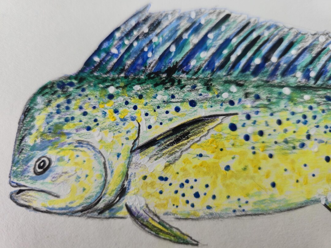 Mahi Mahi Art Print – Limited Edition Fishing Wall Decor - Etsy
