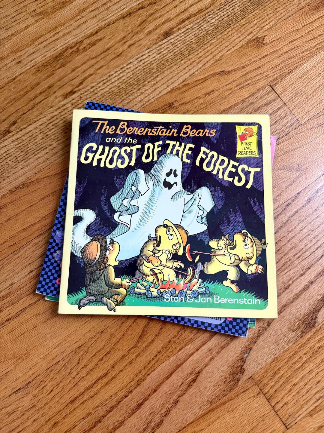 1988 the Berenstain Bears and the Ghost of the Forest - First Time ...