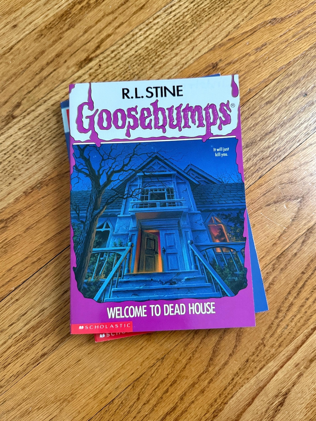 1992 Goosebumps Welcome to Dead House by RL Stine (paperback) - Etsy