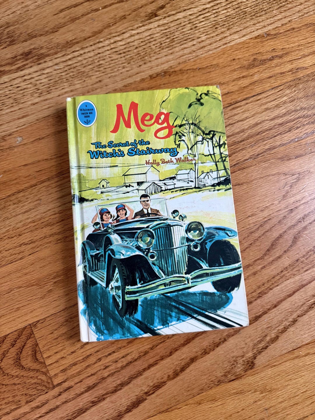 1967 Meg Mystery Book: the Secret of the Witch's Stairway by Holly Beth ...