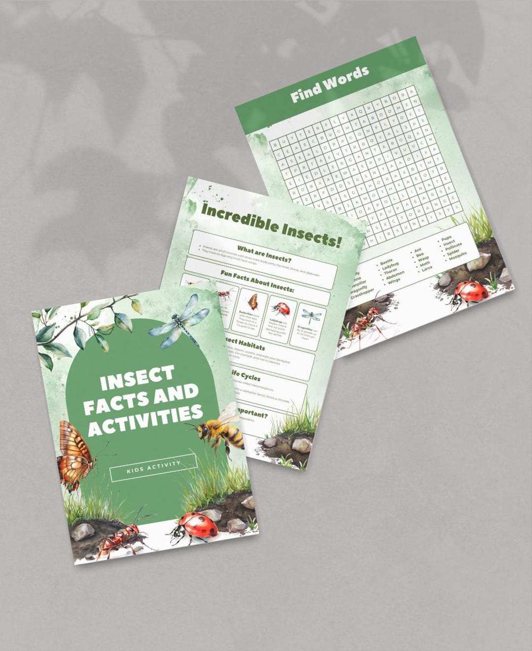 7-page Insect Activity Pack for Kids: Fun Educational Resources for ...
