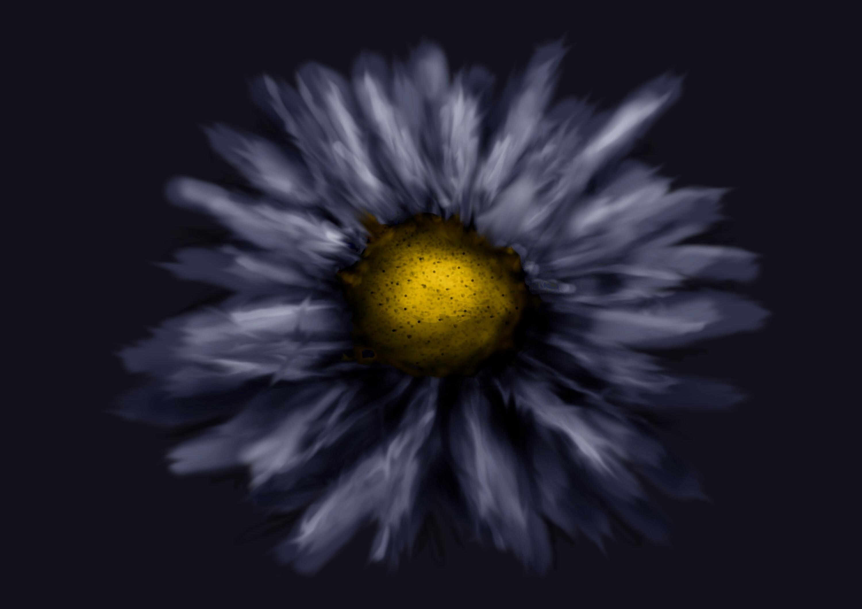 Dark Blue Flower Print - Etsy UK