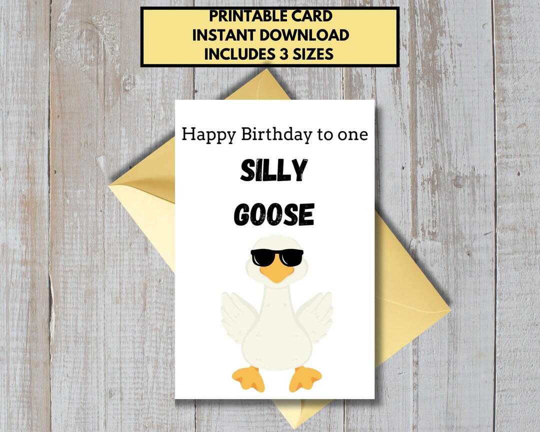 Printable Funny Birthday Card | Silly Goose - Etsy