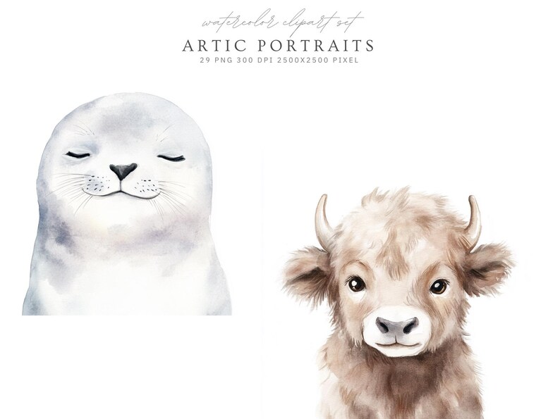 Arctic Animal Portrait Clipart PNG Bundle | Cute Watercolor Winter ...