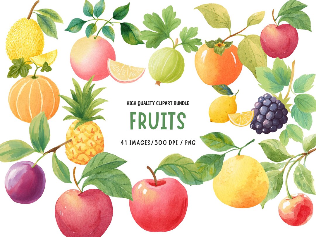 Watercolor Fruit Clipart Bundle, PNG, Citrus and Orchard Fruits, 41 ...