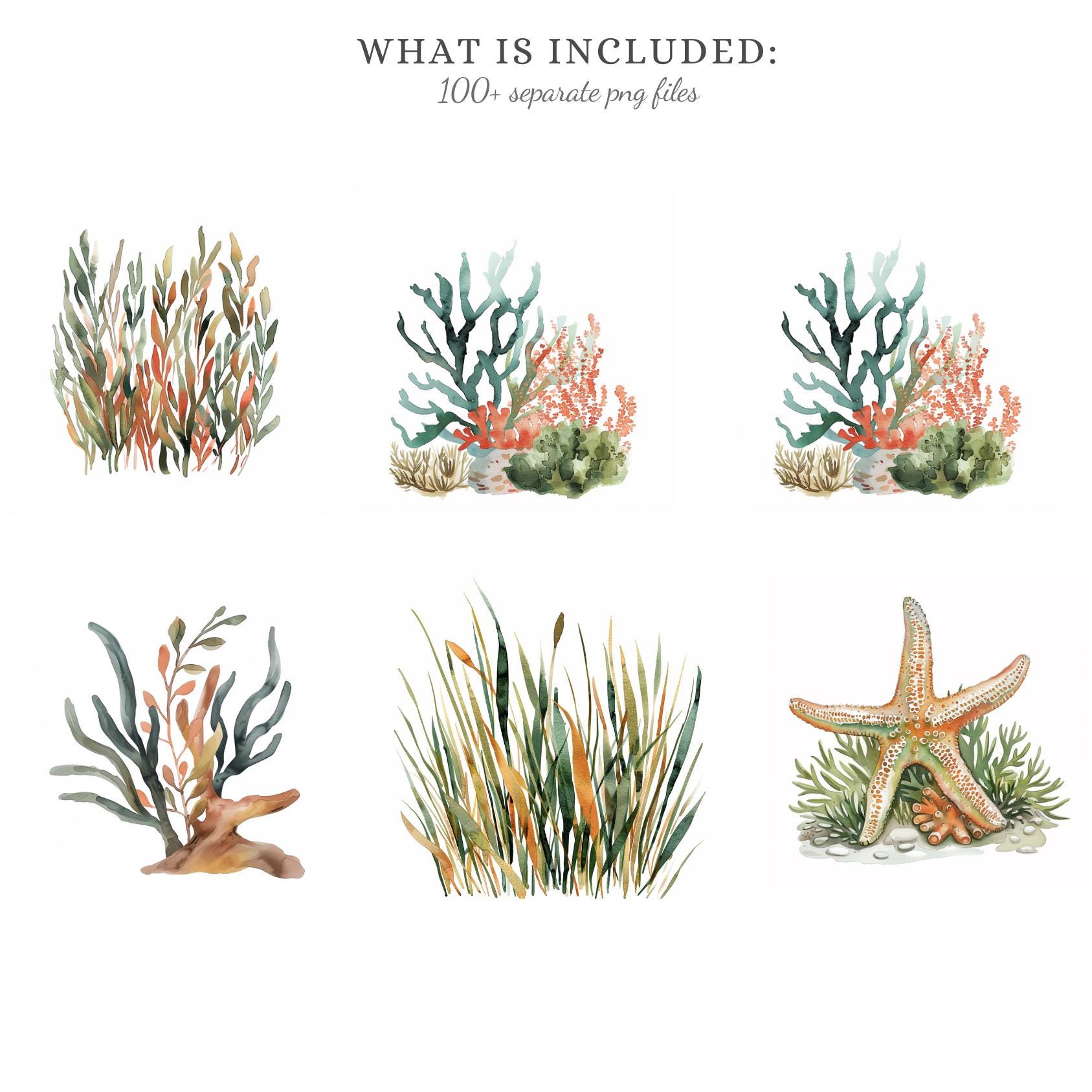 Ocean Animal Clipart Bundle | Cute Watercolor Sea Creatures ...