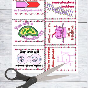 Biology Valentines Day Cards 30 Card Class Set, Teachers, Students, Lab ...
