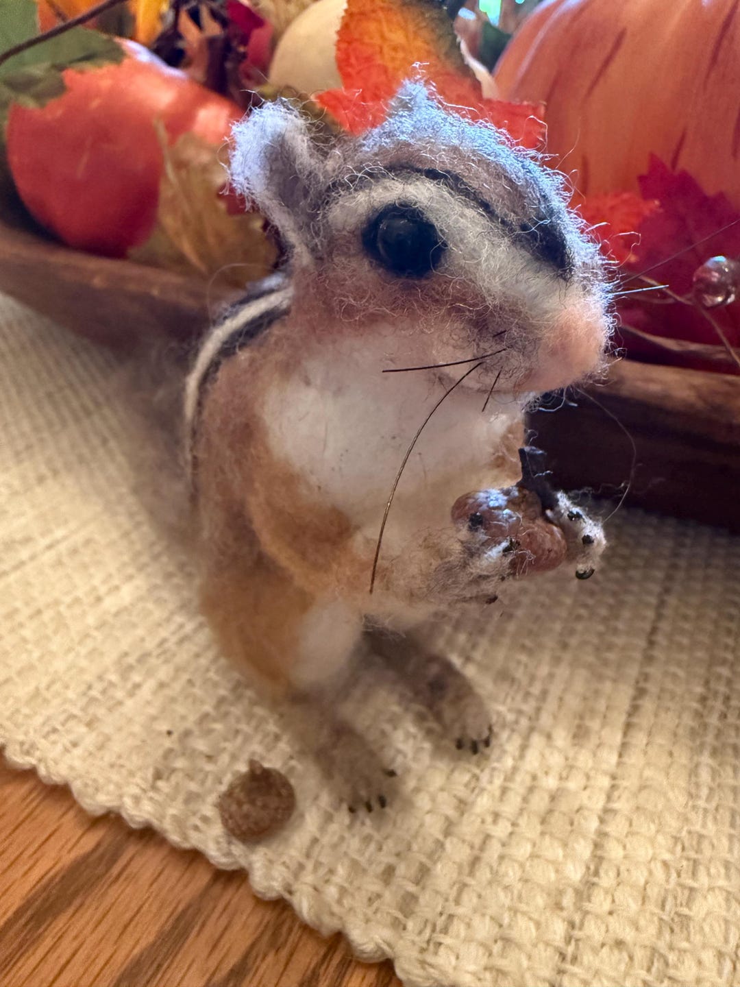 Chipmunk (tamias is a Genus of Chipmunks in the Tribe Marmotini of the ...