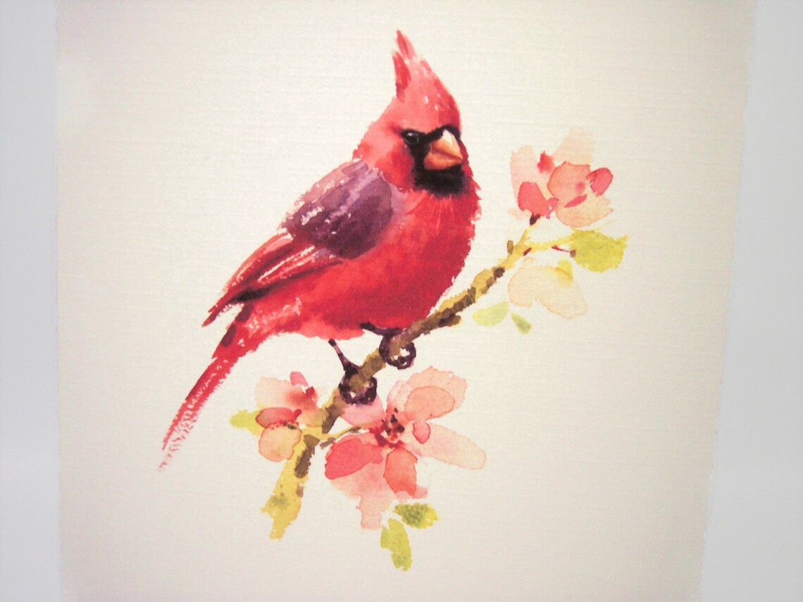 Cardinal Note Cards Set of Six. Blank Inside. Printed on Quality Linen ...