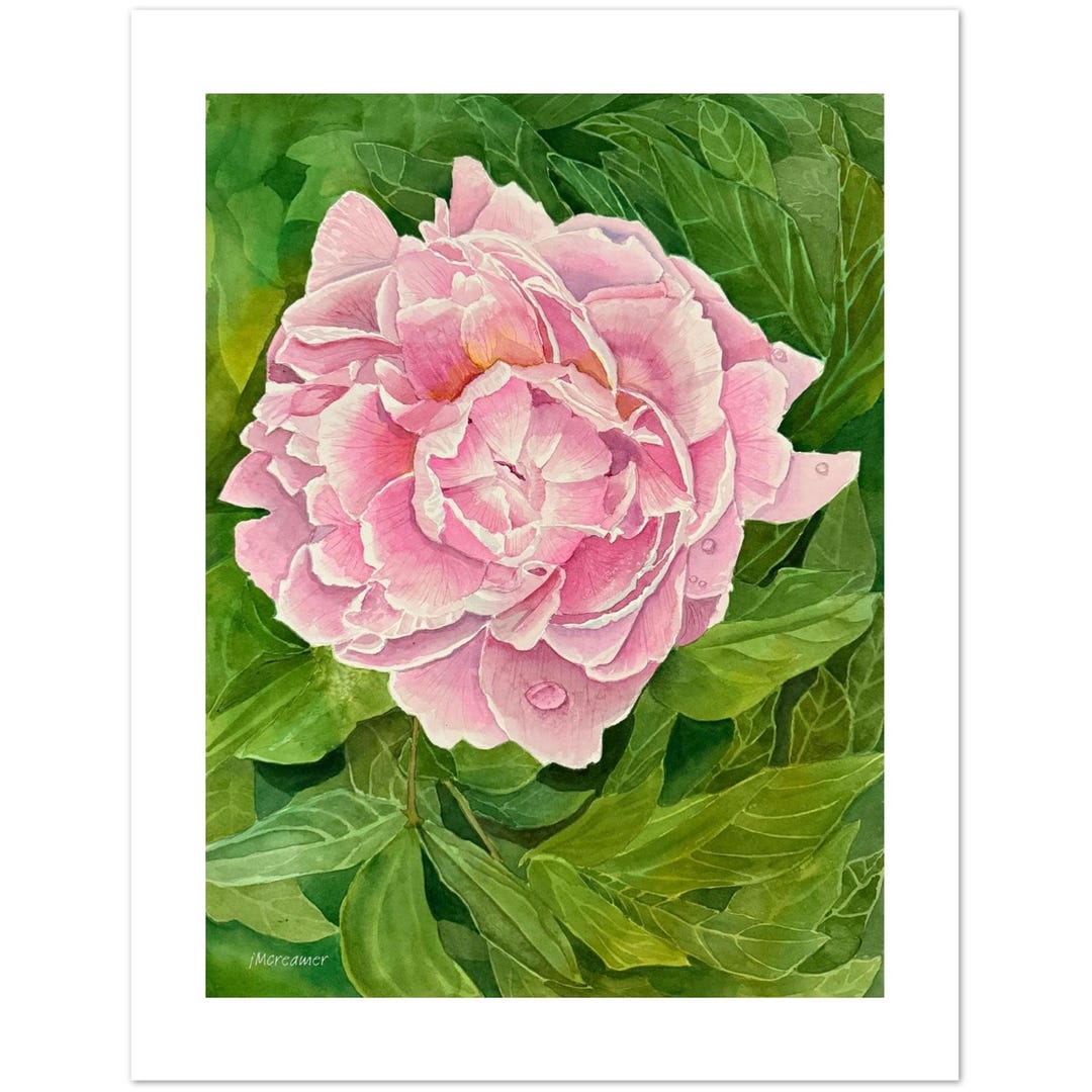 Pink Peony Note Cards (pack of 10) - Etsy