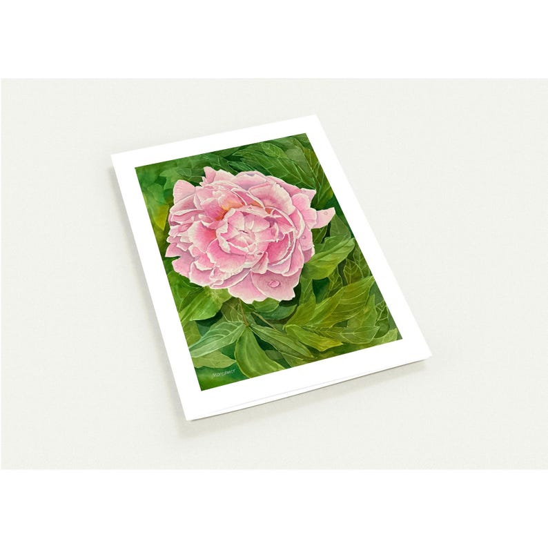 Pink Peony Note Cards (pack of 10) - Etsy