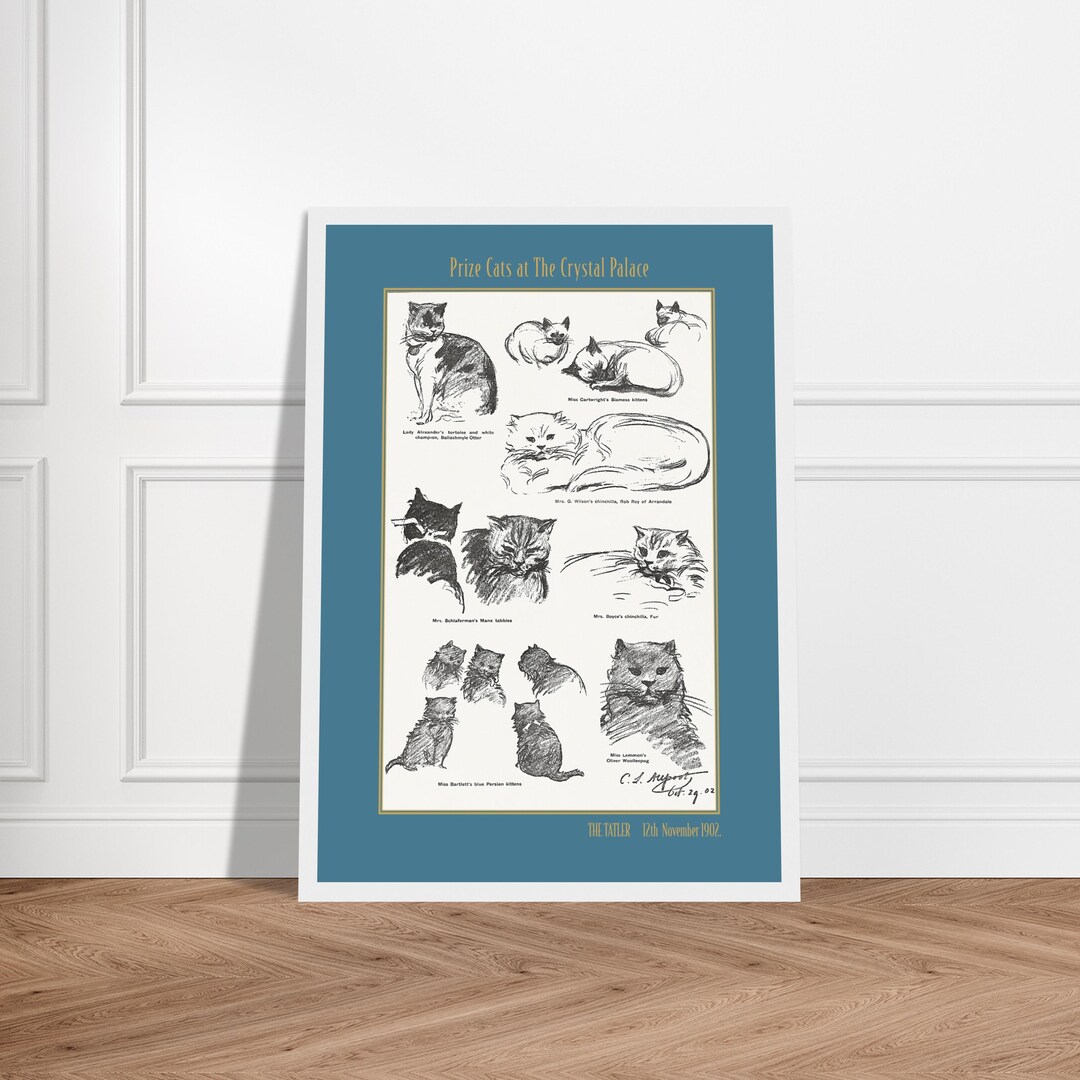Vintage Cat Show Poster: 1902 London Tatler Magazine Print - Etsy