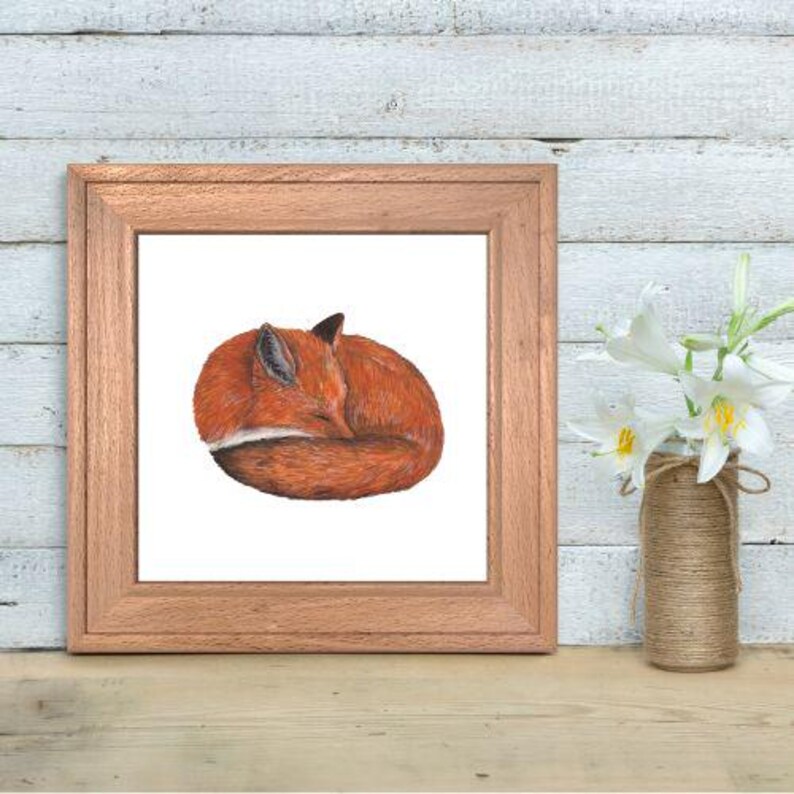 Curled Fox Clip Art PNG | Woodland Whispers Collection | Hand Painted ...