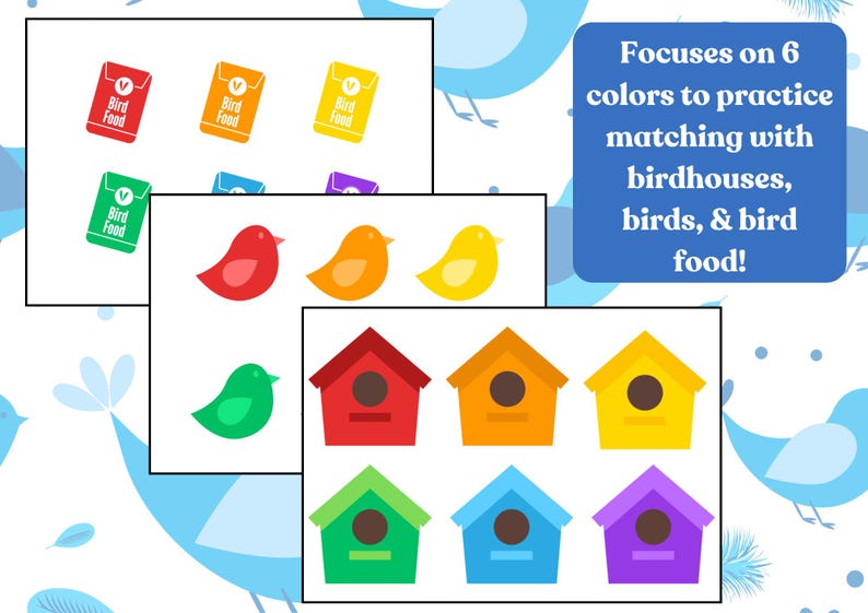 Bird Color Matching Printable Activity - Etsy