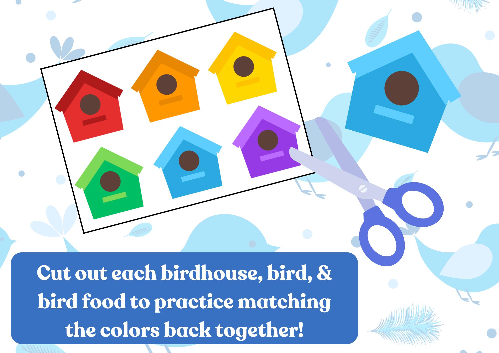 Bird Color Matching Printable Activity - Etsy