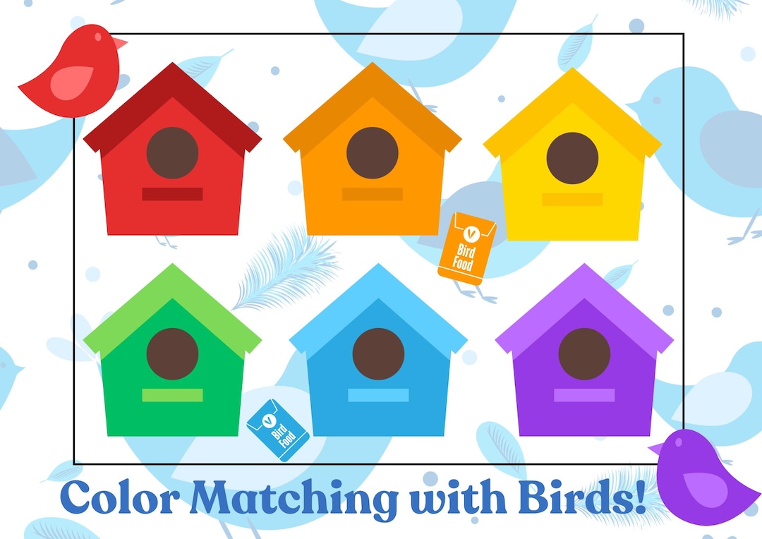 Bird Color Matching Printable Activity - Etsy