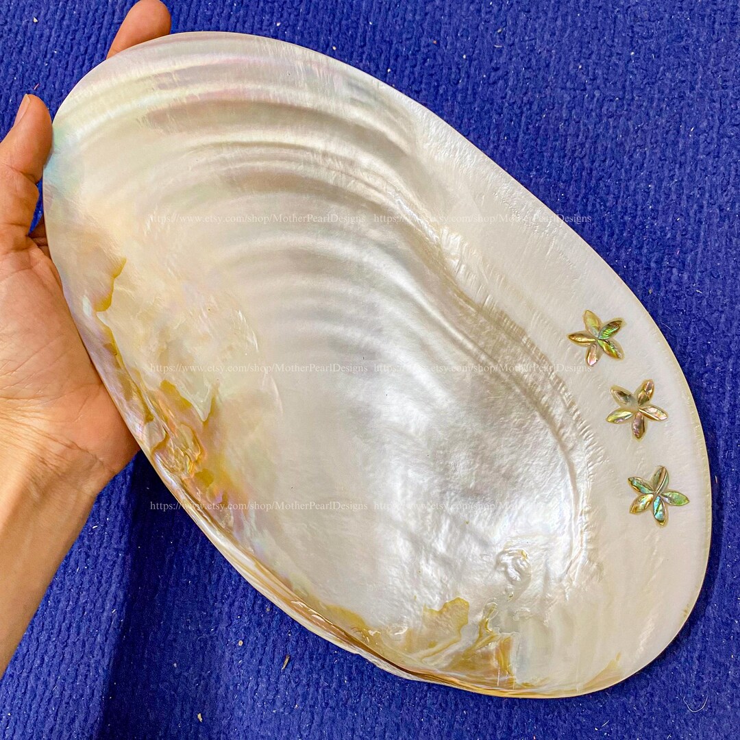 Mother of Pearl Seashell Dish, Natural Giant Shell Dish Versatile for ...