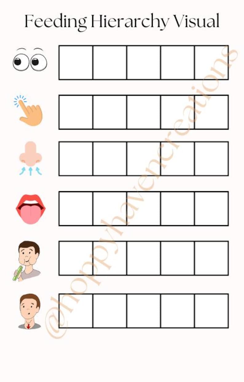 Feeding Hierarchy Visual - Etsy