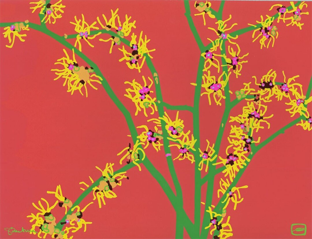 Witch Hazel - Hand Pulled Screen Print - Etsy