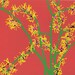 Witch Hazel - Hand Pulled Screen Print - Etsy