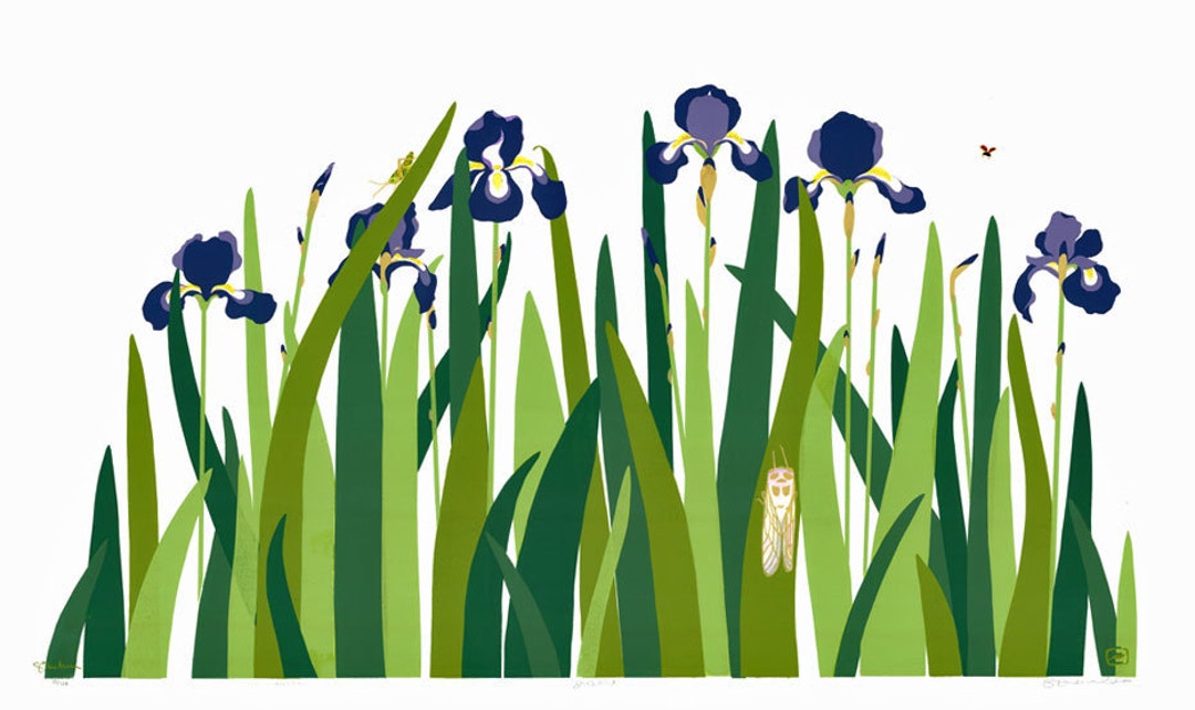 Irises - Hand Pulled Screen Print - Etsy