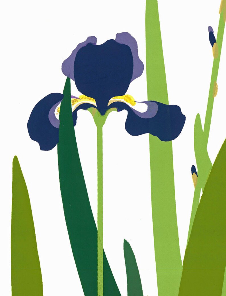 Irises - Hand Pulled Screen Print - Etsy