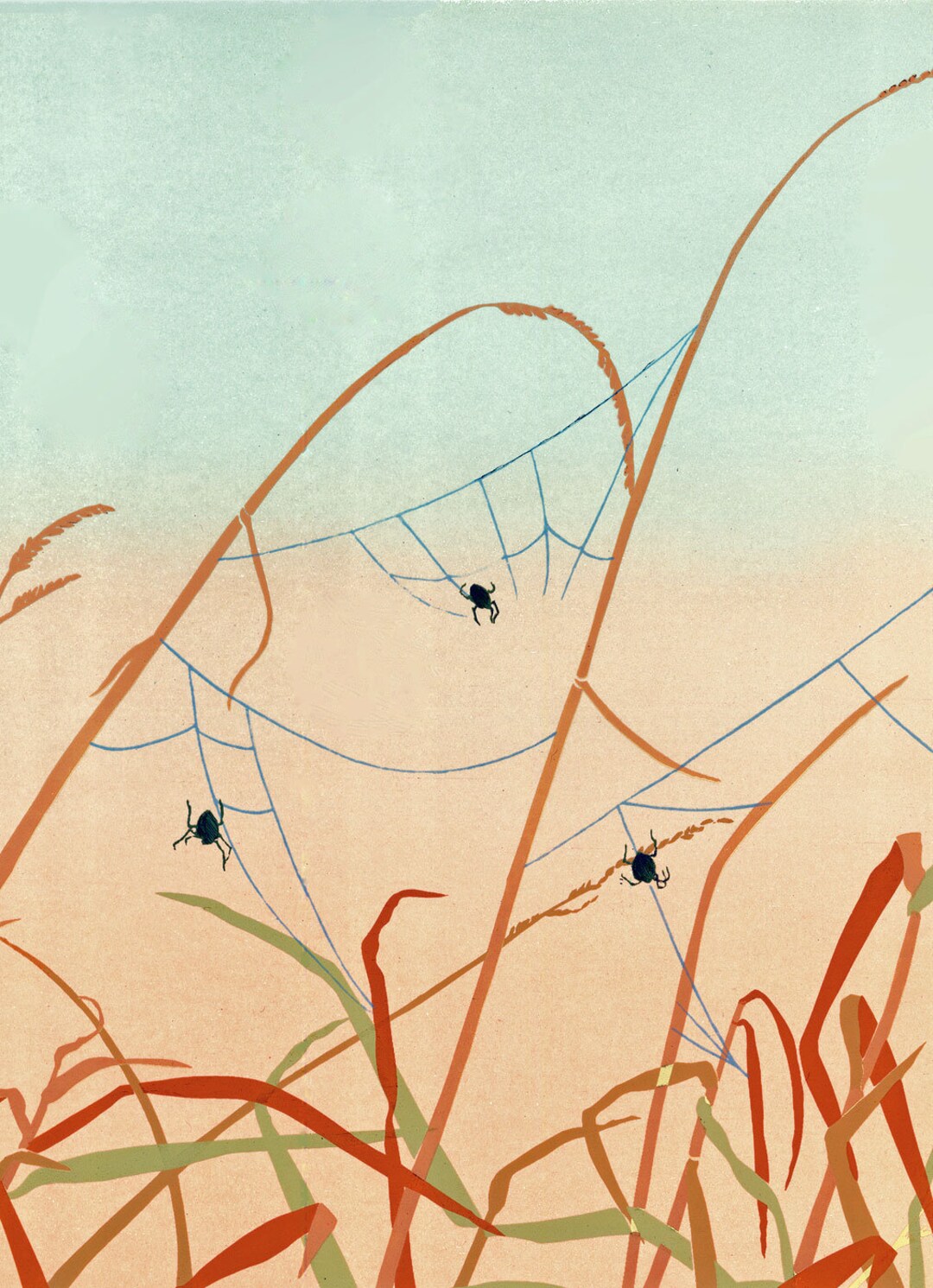 Fall Spiders - Set of 5 Greeting Cards - Etsy