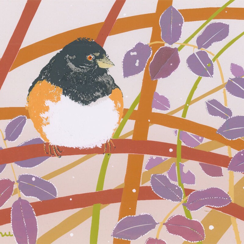 Towhee - Etsy