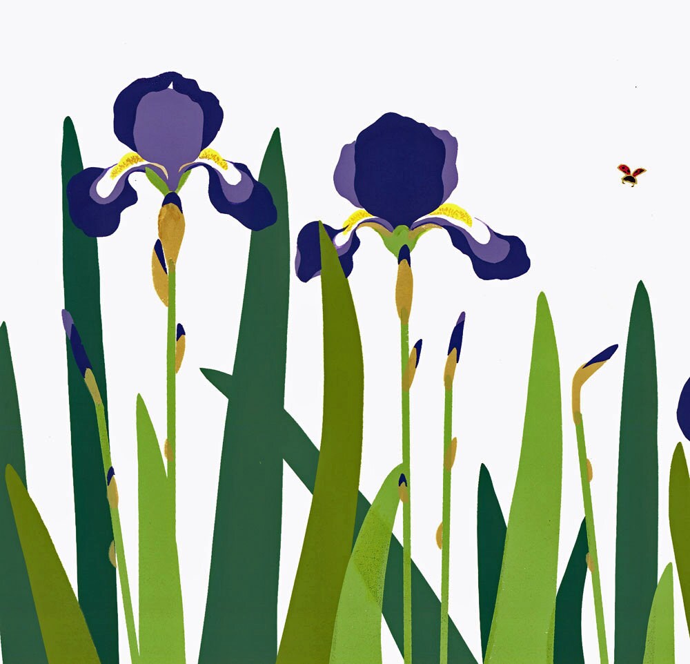 Irises - Hand Pulled Screen Print - Etsy