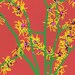 Witch Hazel - Hand Pulled Screen Print - Etsy