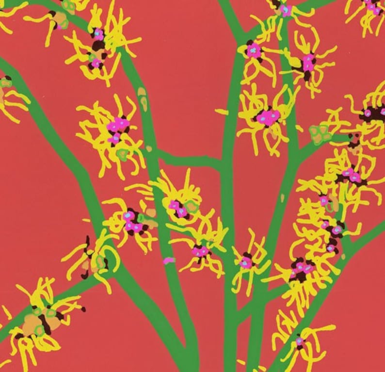 Witch Hazel - Hand Pulled Screen Print - Etsy