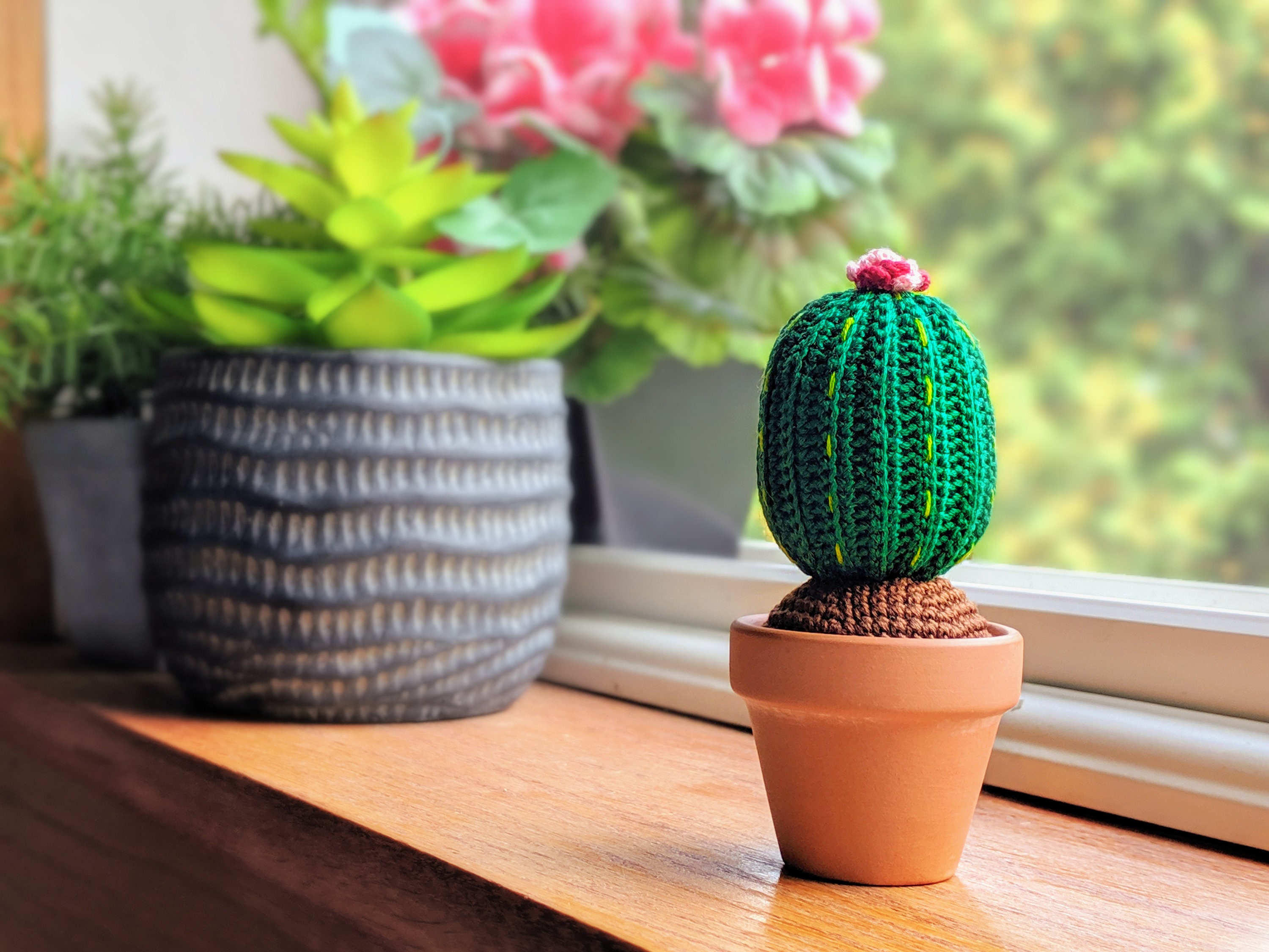 Tall Barrel Cactus PATTERN / DIY Crochet / Amigurumi / | Etsy