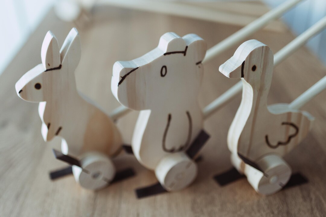 Wooden Push-along Children Toy - DIY Painting - Etsy