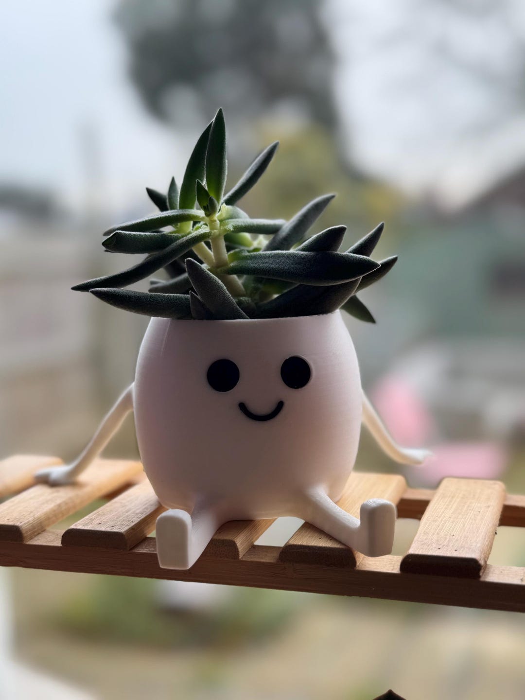 Mini Smiley Planter: Adorable 3D Printed Happy Face Pot for Succulents ...