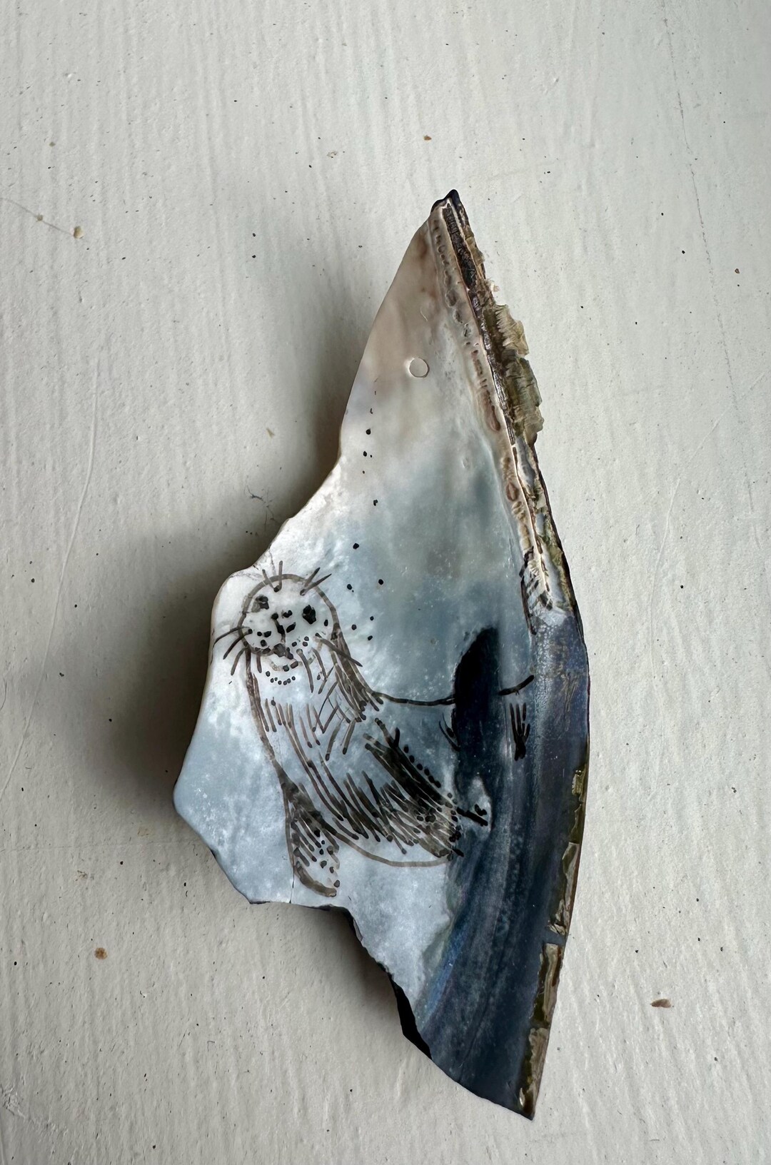 Seal Art: Black Ink Drawing on Iridescent Mussel Shell - Etsy