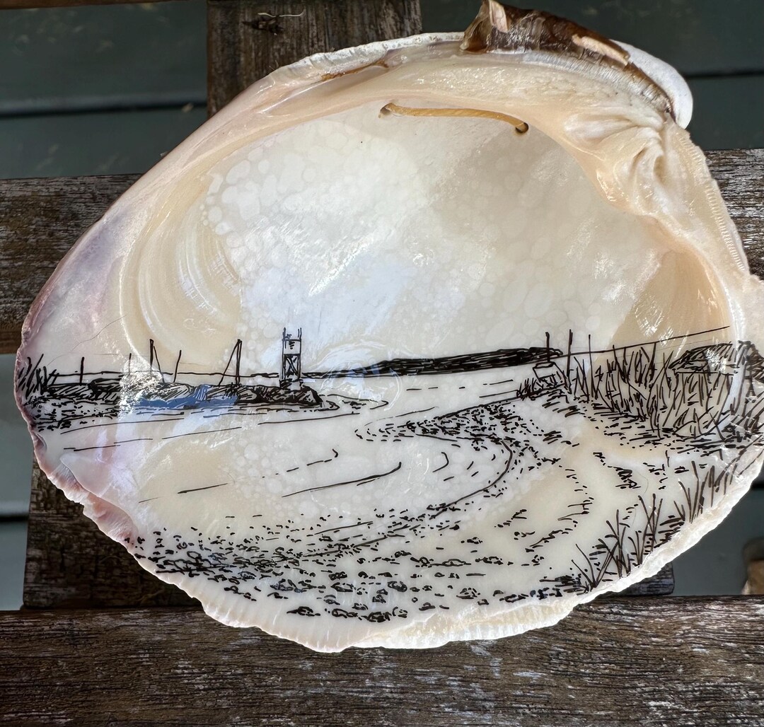 Cuttyhunk Channel Beach: Original Drawing on Clam Shell - Etsy