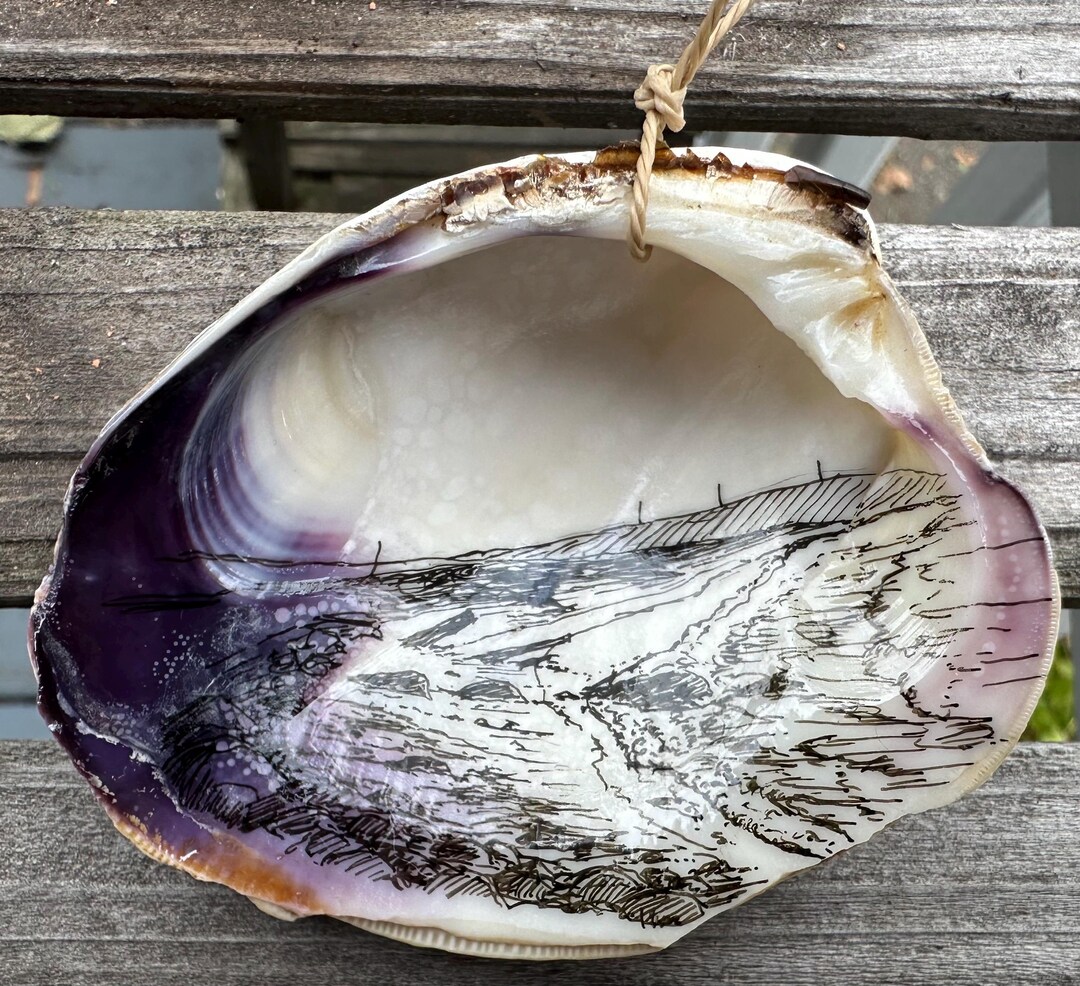 Cuttyhunk Barges Beach: Original Drawing on Clam Shell - Etsy