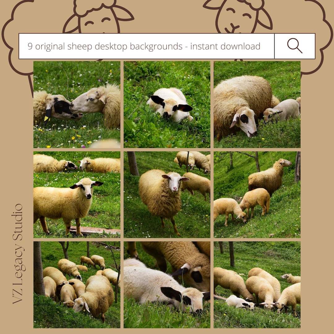 Desktop Wallpaper, 9 Original Sheep Images, Whimsical Wallpaper ...