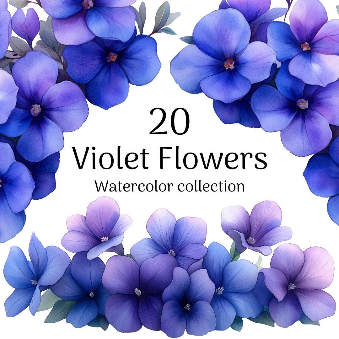 20 Pictures. Watercolor Violet Flowers. Png Format - Etsy