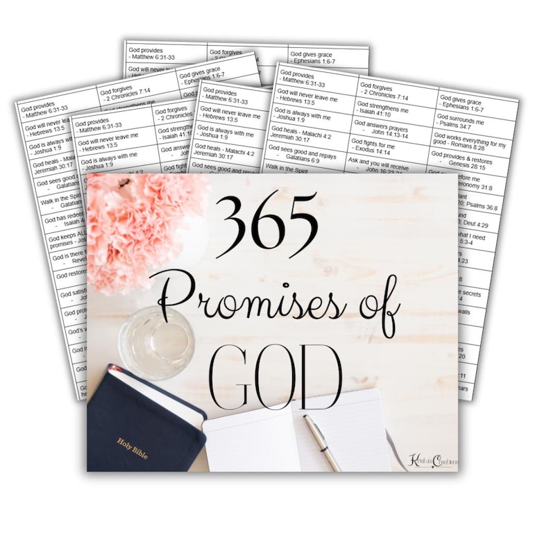 365 God's Promises Bible Verses for Personal Devotions, Memory Work, or ...