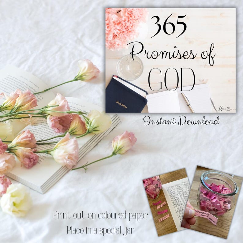 365 God's Promises Bible Verses for Personal Devotions, Memory Work, or ...