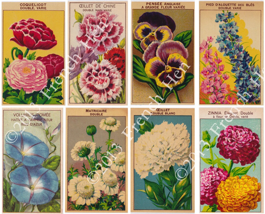 French Flower Seed Packet Labels-digital Download - Etsy