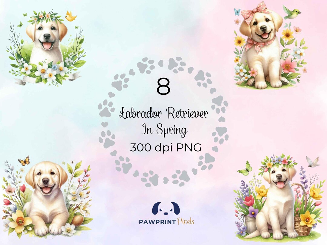Labrador Retriever in Spring PNG File, Cute Dog With Flowers Digital ...