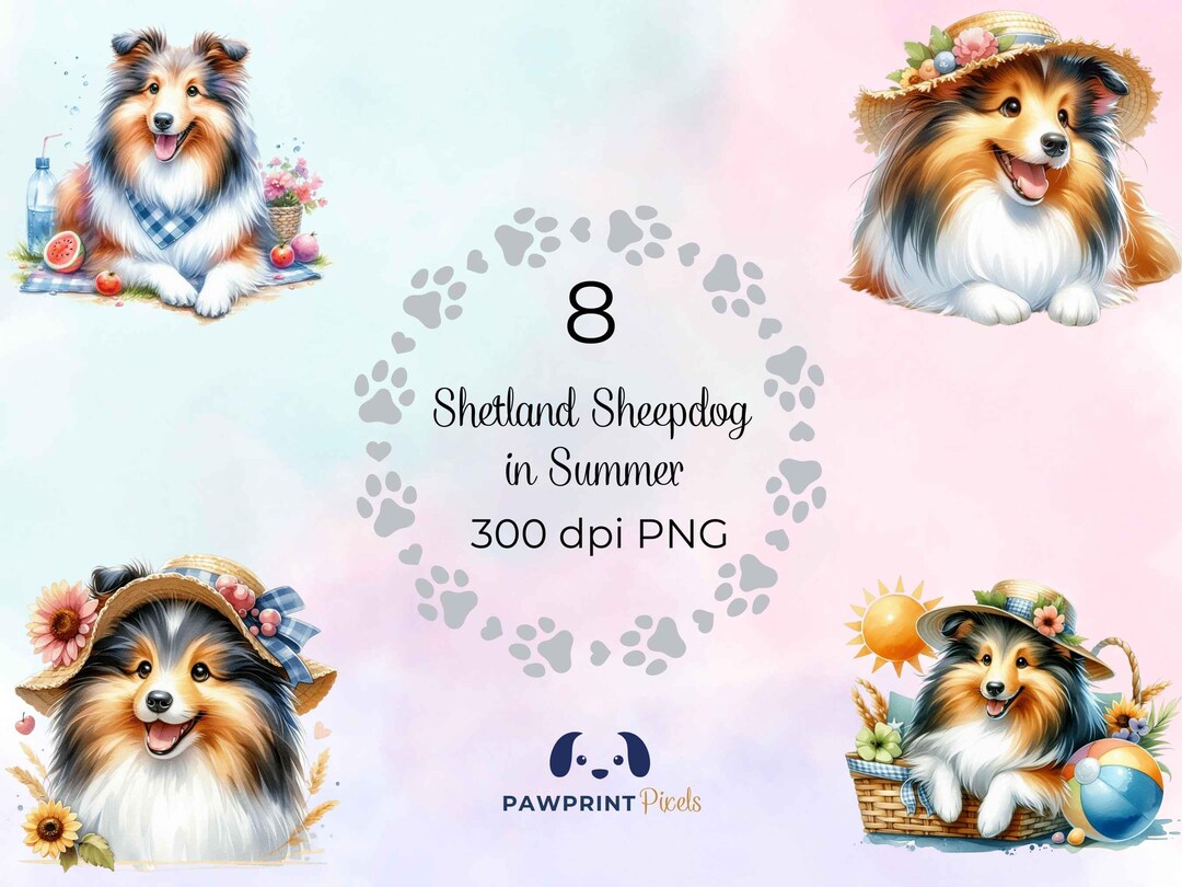 Shetland Sheepdog in Summer PNG File, Memorable Dog Under the Sun ...