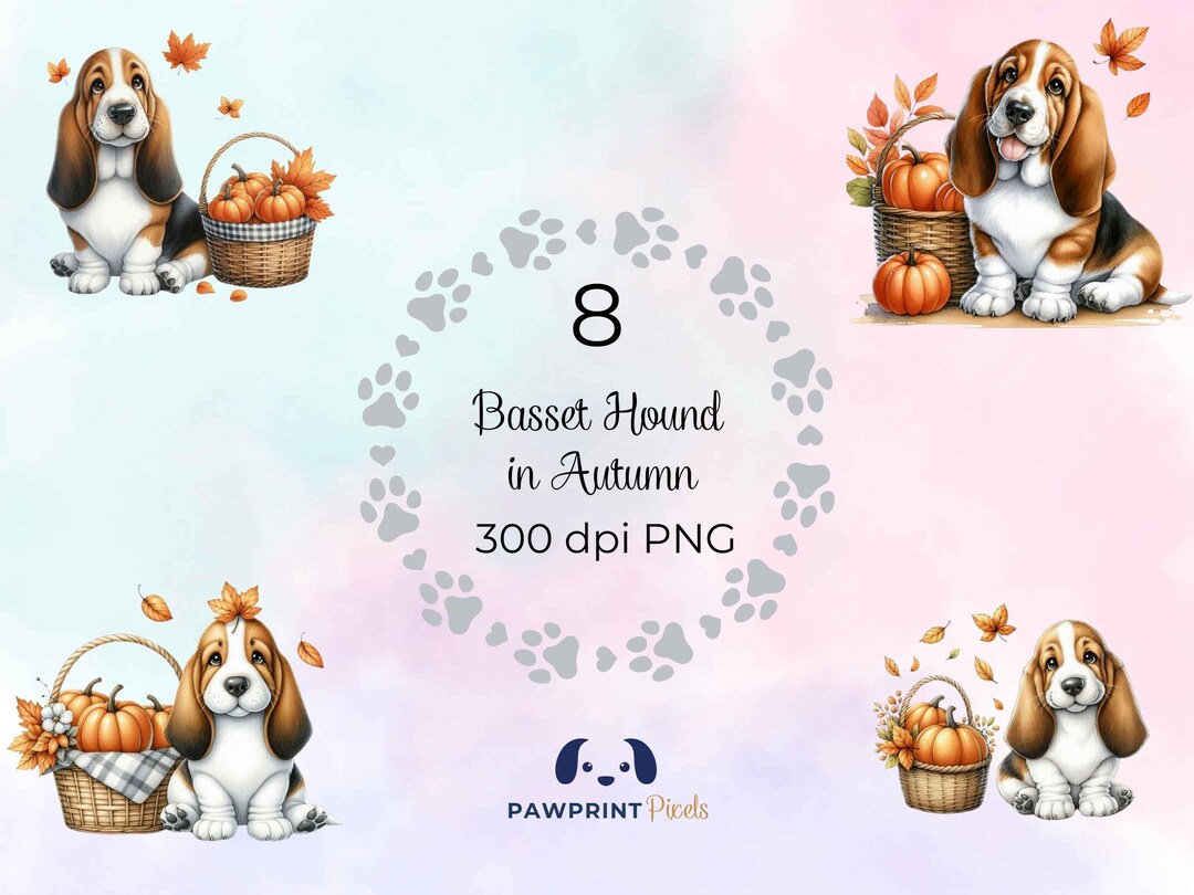 Basset Hound in Autumn PNG Files | Kawaii Dog With Basket Digital Image ...