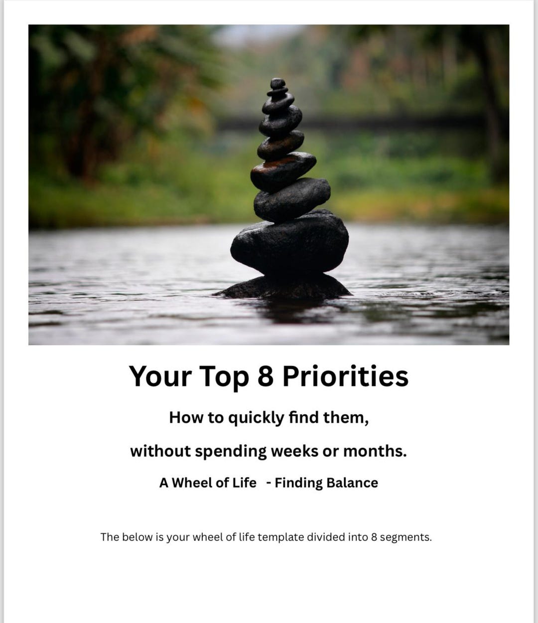 Wheel of Life Your Top 8 Priorities - Etsy