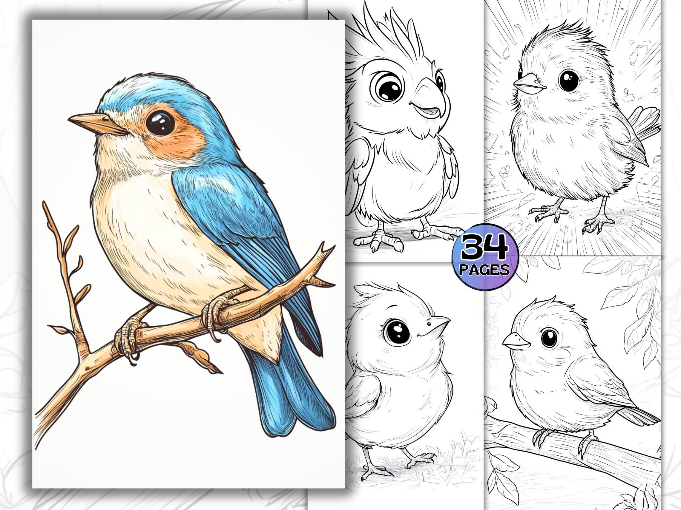 34 Cute Birds Coloring for Kids and Teens, Birds Coloring, Animal ...