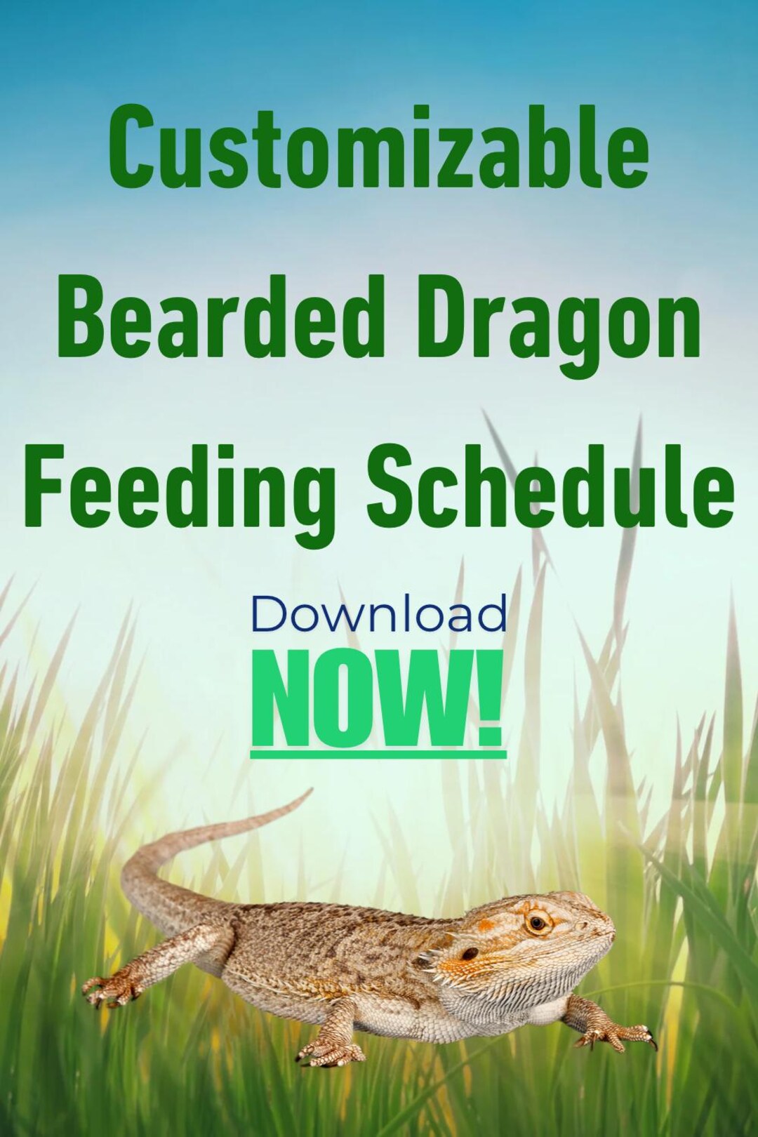 Customizable Bearded Dragon Feeding Schedule Template | Editable Canva ...