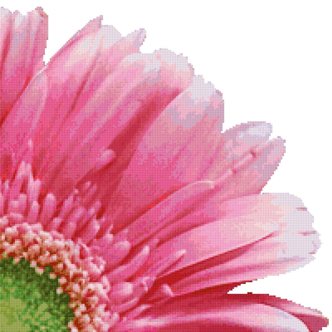 Pink Daisy Cross Stitch Pattern - Etsy
